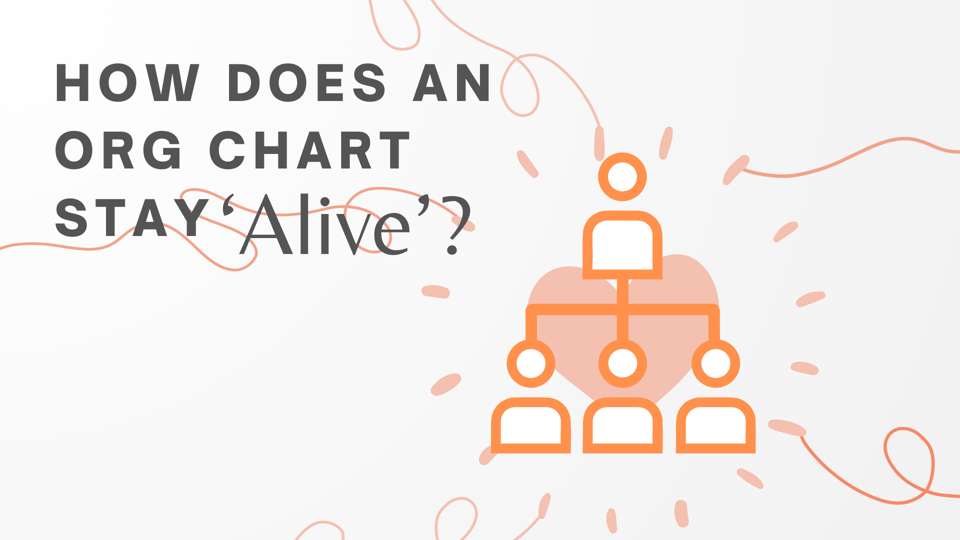 Org Charts: Central Component of Effective HRIS Systems